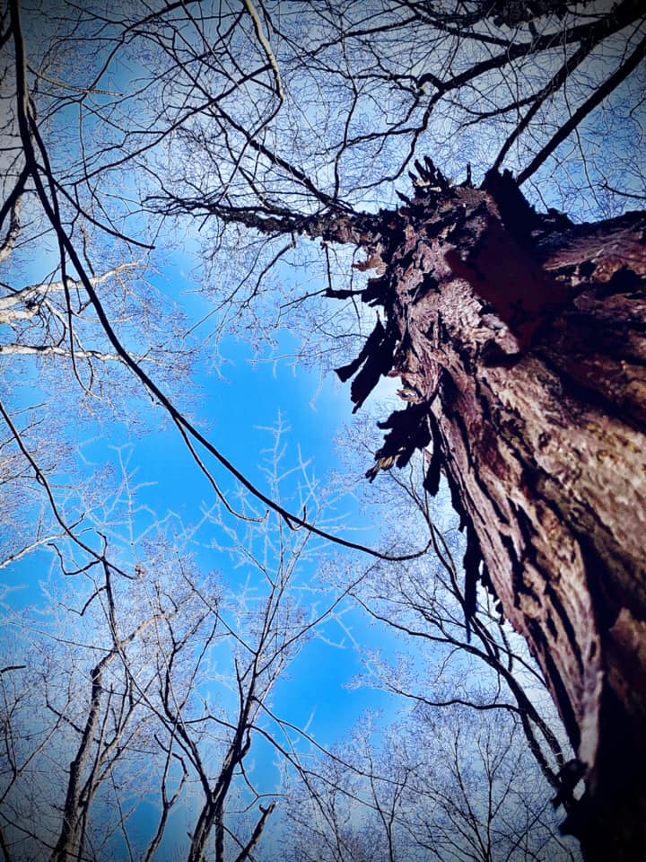 Press and Podcasts – Dawn Burns